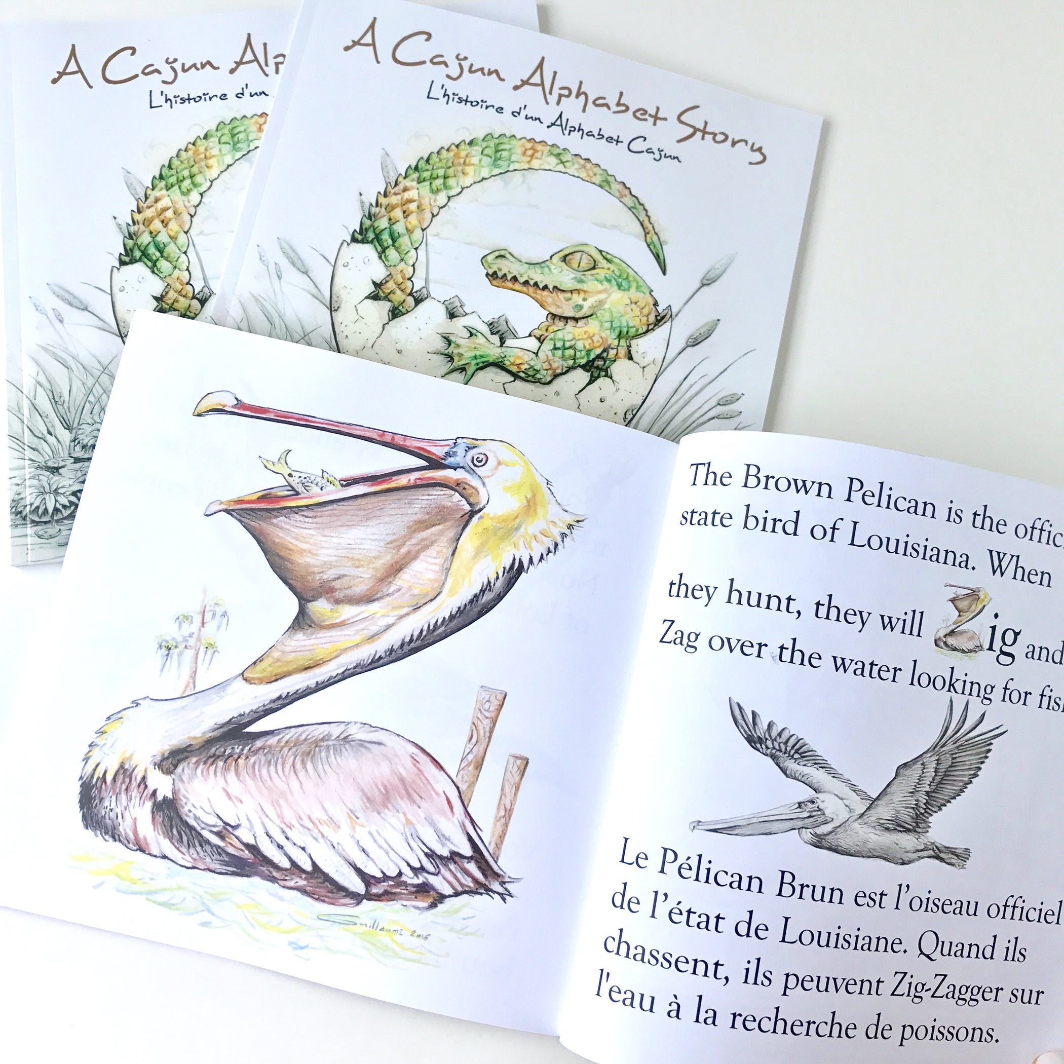 A Cajun Alphabet Story - English & Cajun French Children's Book NOLA ...